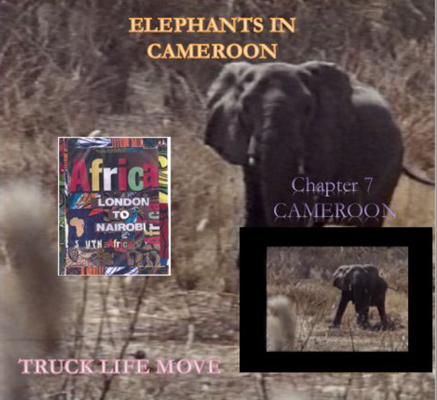 New mag – truck life movie